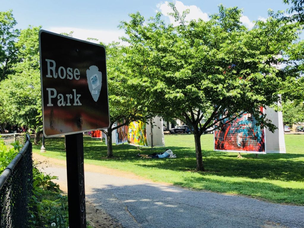 Rose Park Georgetown! The Orange Step Exhibition in display now ...